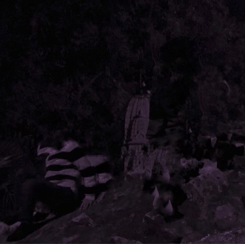 CASHAKSHAY – Where the groves of two brothers rock this world